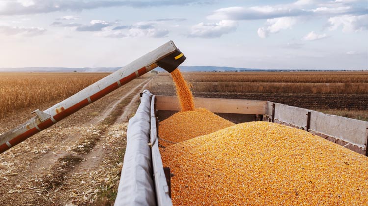 Agriculture Parts, Ag, Replacement, Equipment | Shoup